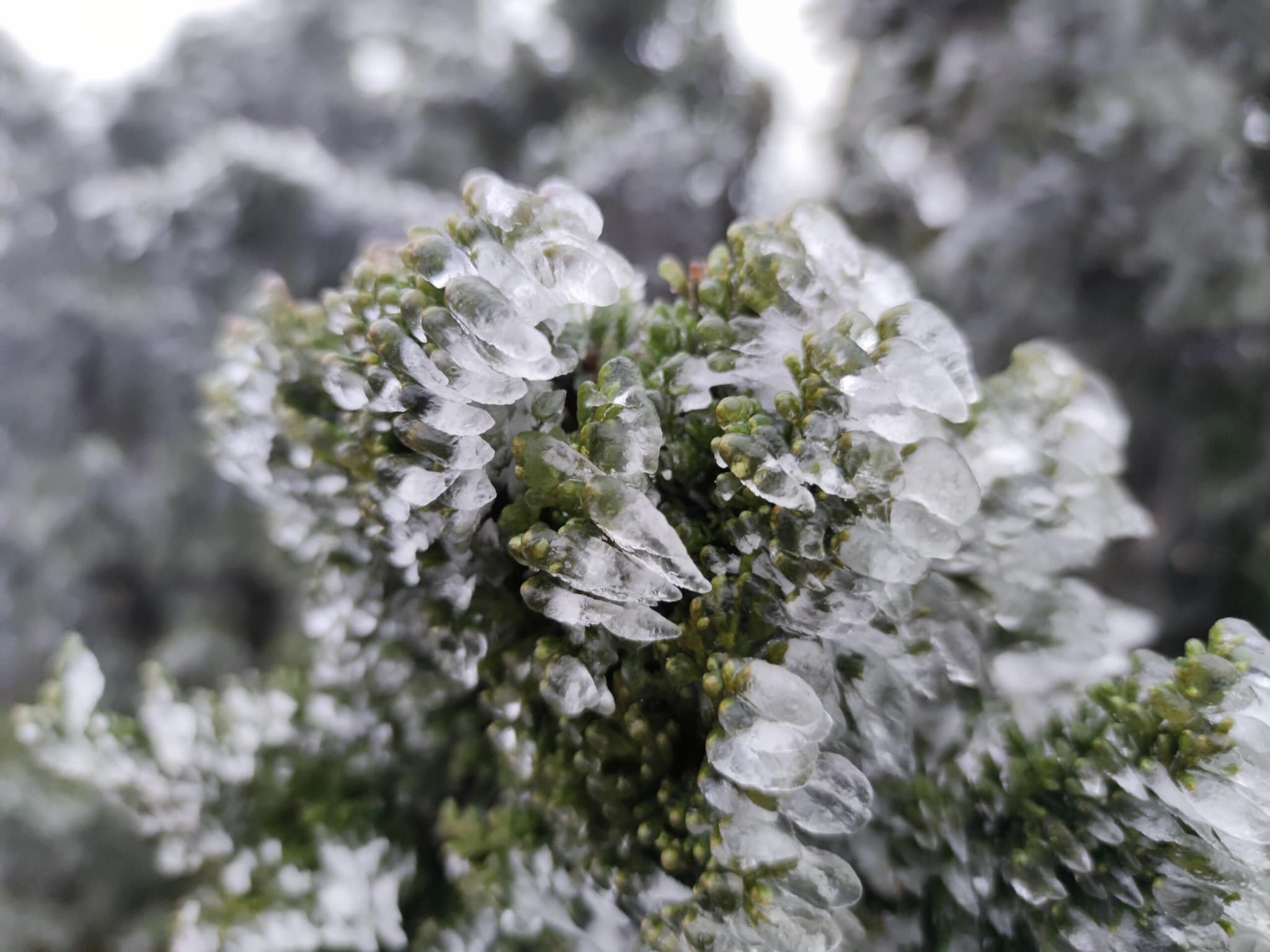 Trời rét đậm, rét hại, Mẫu Sơn -1,5 độ C xuất hiện băng giá ngày càng dày