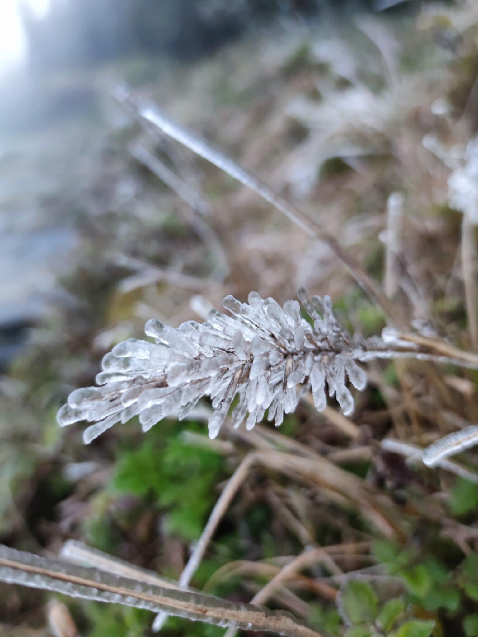 Trời rét đậm, rét hại, Mẫu Sơn -1,5 độ C xuất hiện băng giá ngày càng dày