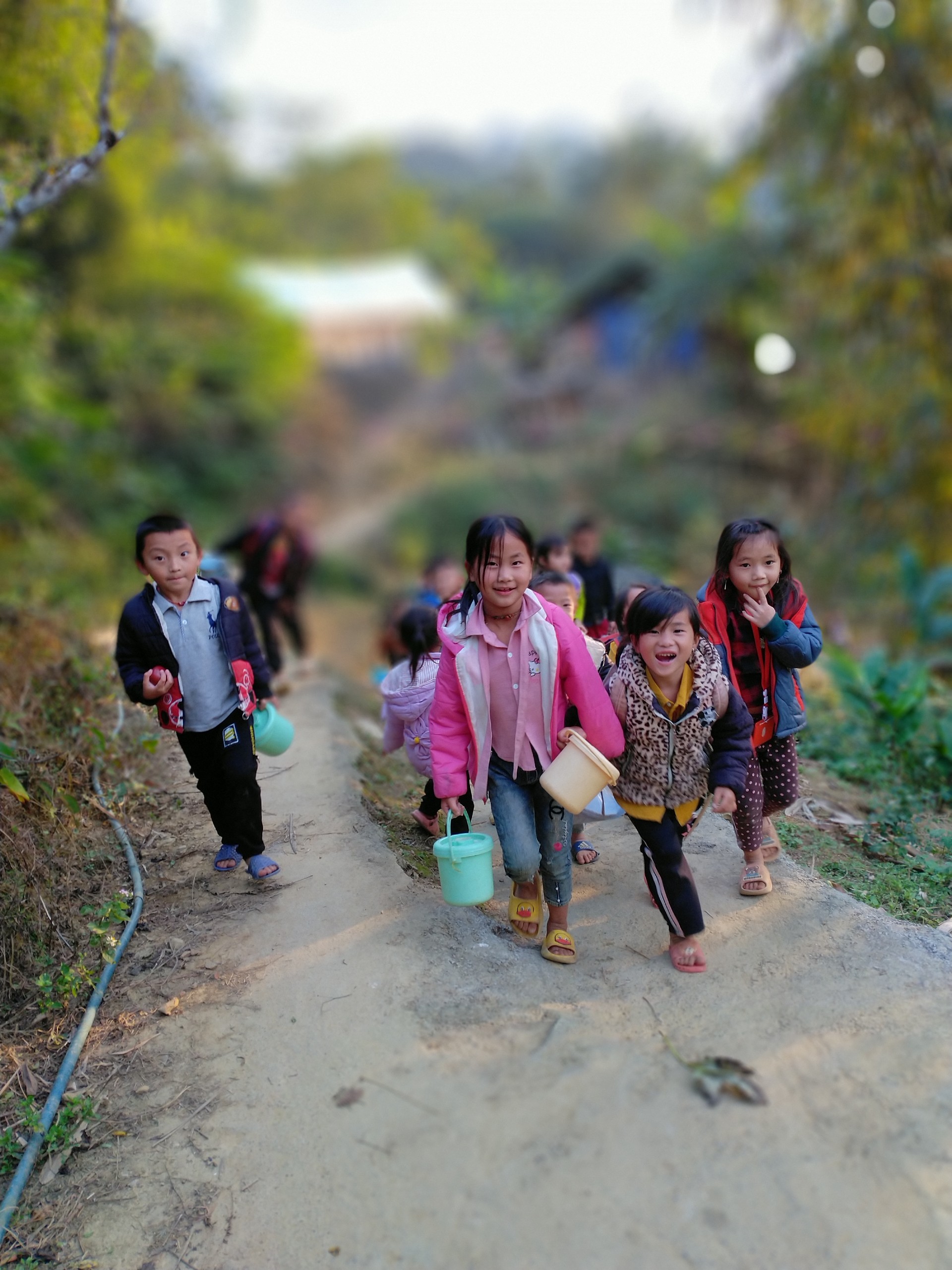 Gieo mầm xanh trên núi đá tai mèo