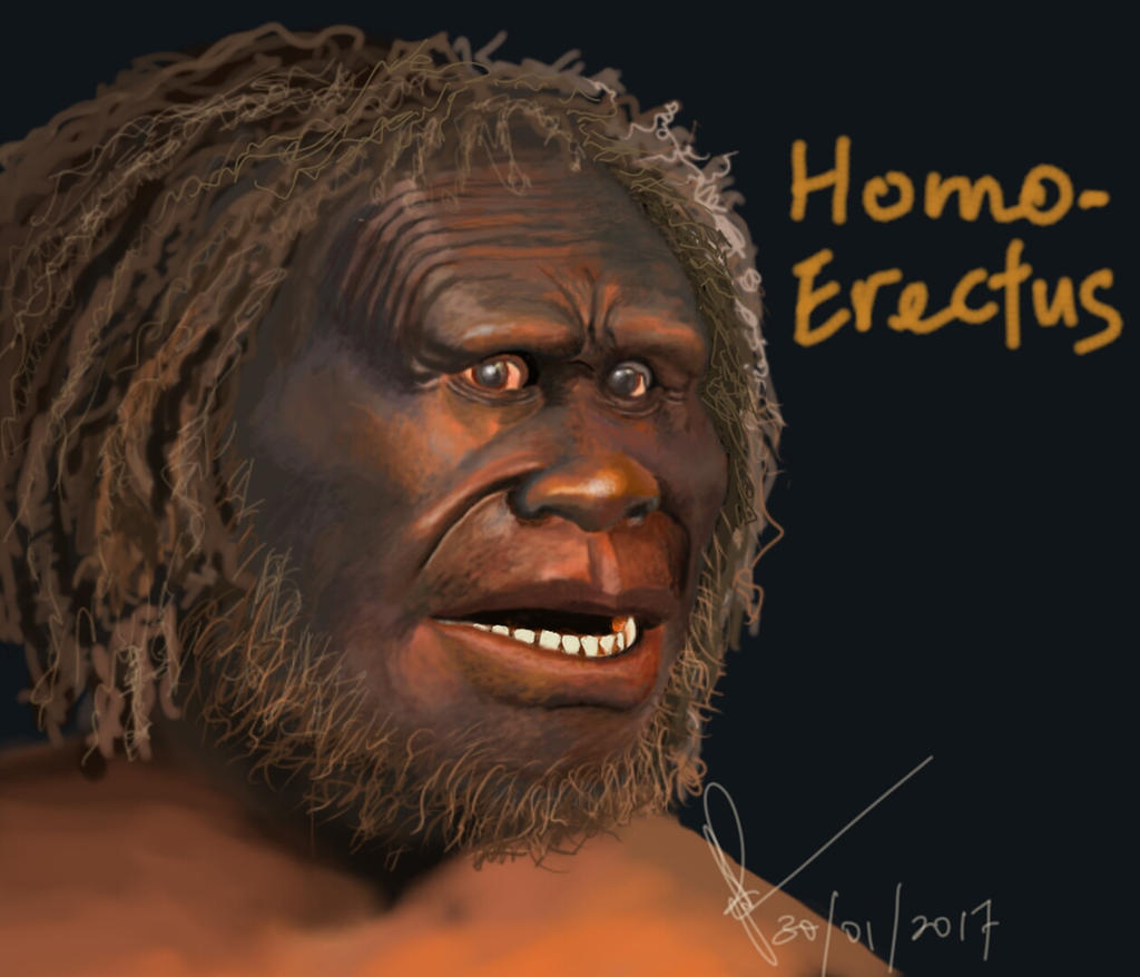 Bằng chứng cho thấy con người cổ đại đã đi thuyền đến quần đảo Aegean ...