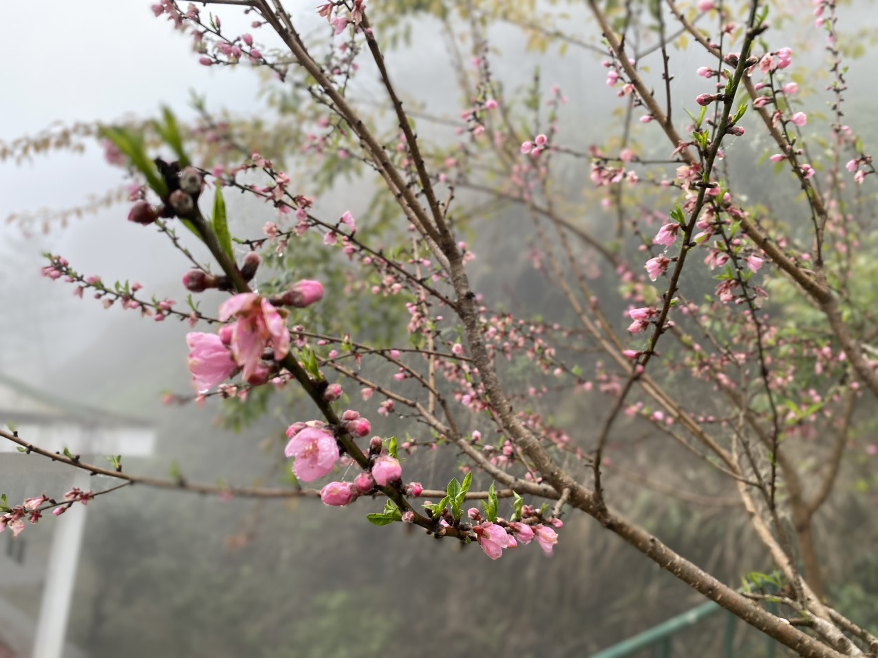 “Điểm tựa” mùa xuân của người lính biên phòng