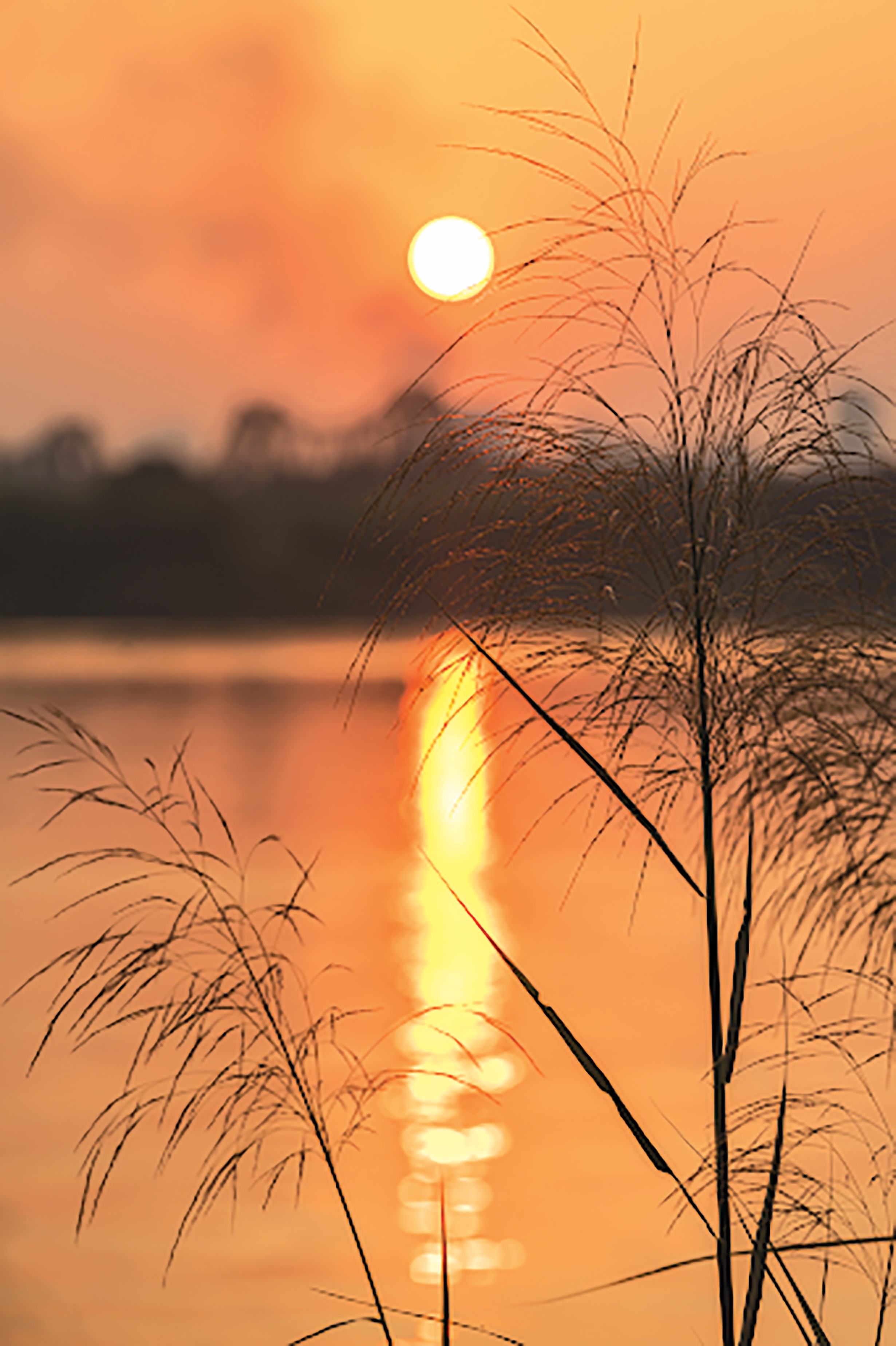 Khoảng trời chiều trong bệnh viện