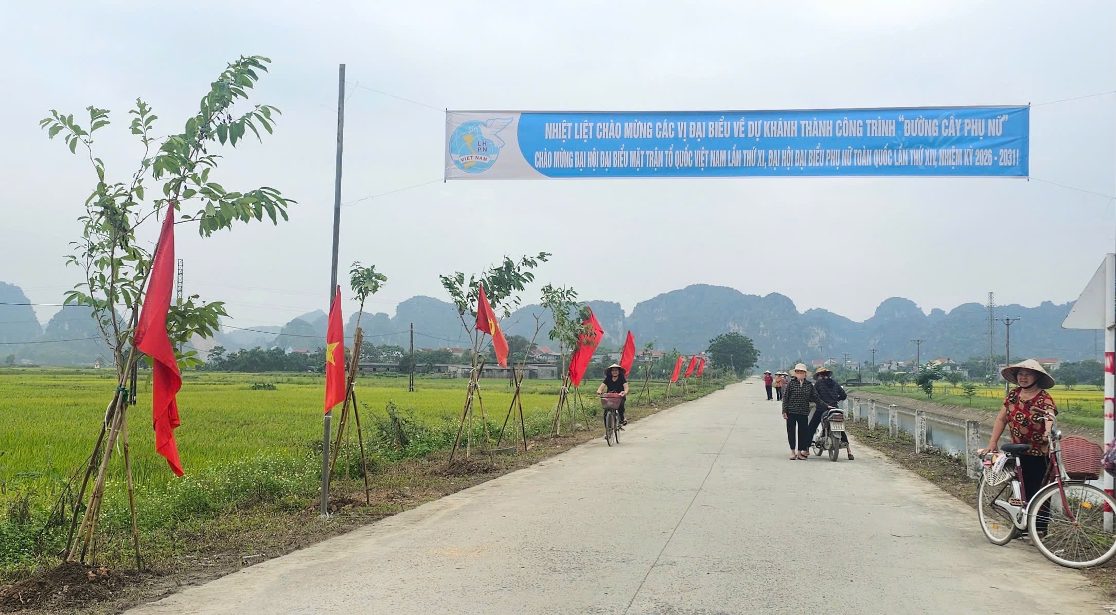 Ninh Binh: "Women's Tree Lane" inaugurated to celebrate important ...