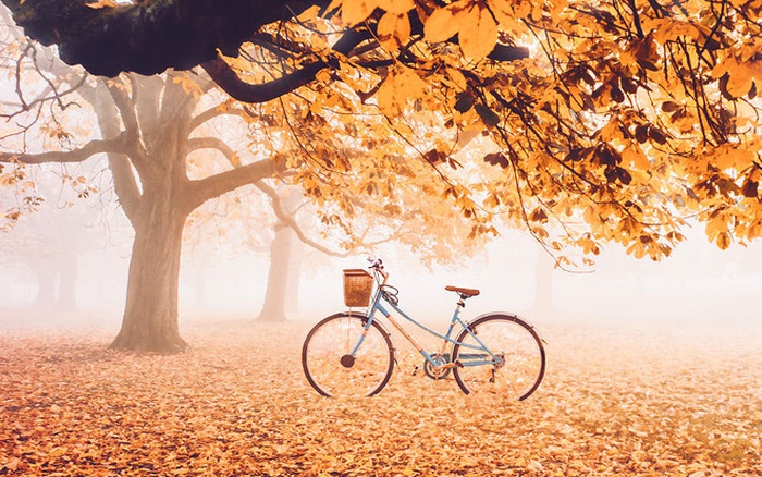 Mùa thu và những ngày tràn nỗi nhớ » Báo Phụ Nữ Việt Nam