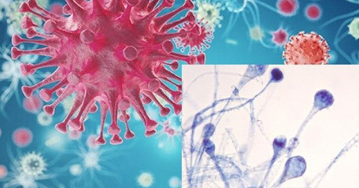 Nhiều người nhiễm nấm đen Mucormycosis, bệnh này nguy hiểm như thế nào?