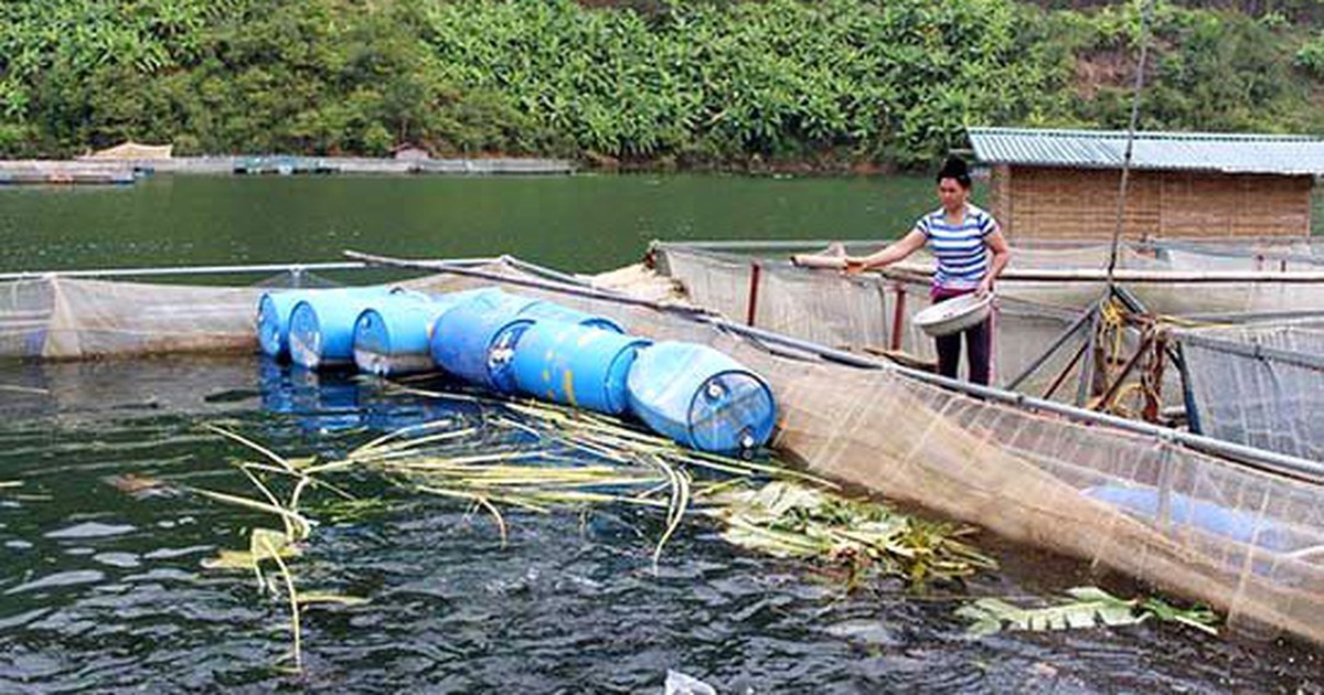 Khởi sắc ở Mường Trai