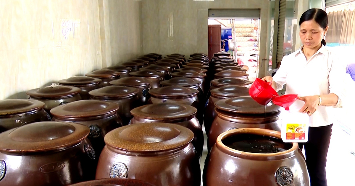 Chắt chiu vị mắm tép quê nhà