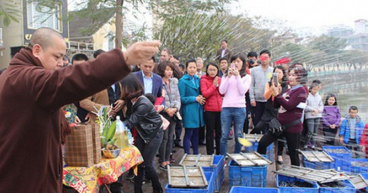 Mùng 1 Tết, phóng sinh mong bình an, may mắn