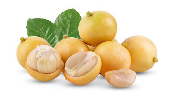 Tác dụng của quả dâu da đất đối với sức khoẻ